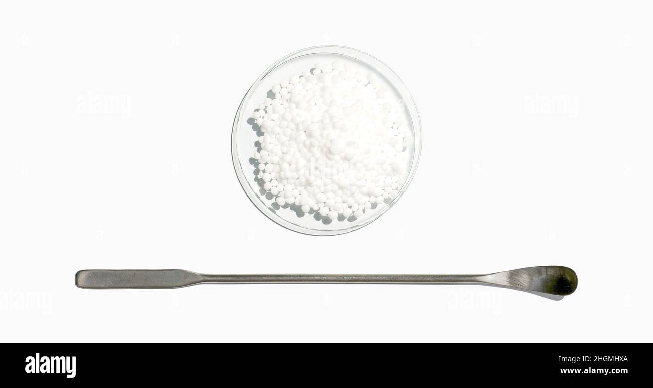 Carbamide in Chemical Watch Glass placed next to the stainless spatula ...