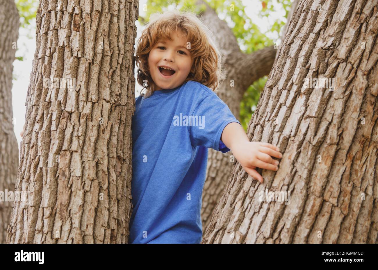 Boy climbs up tree in hi-res stock photography and images - Alamy