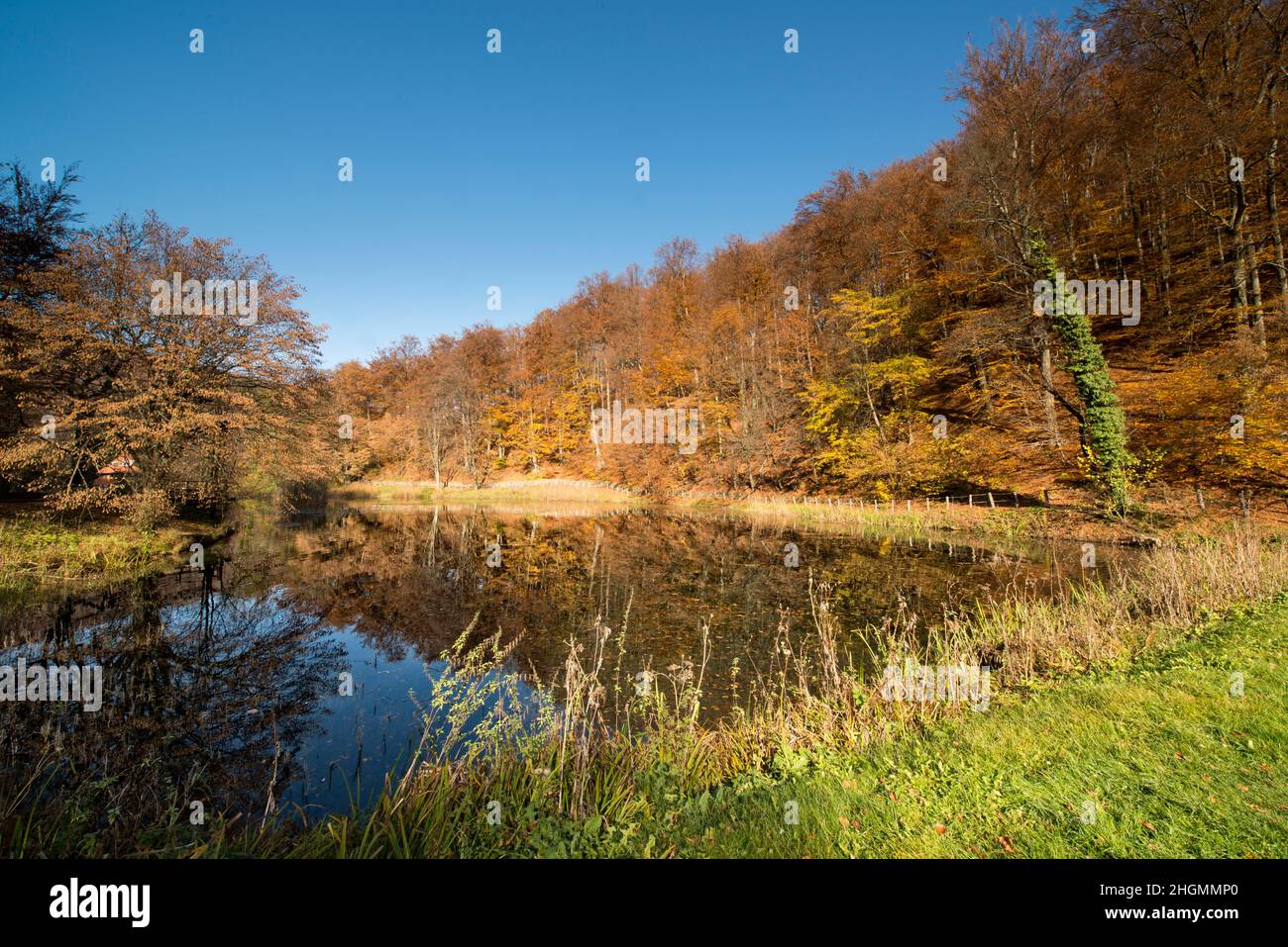 A popular hiking trail with a pond in sunny late autumn with colorful ...