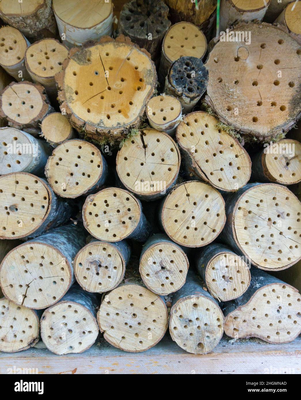 Insect hotel stacked hi-res stock photography and images - Alamy