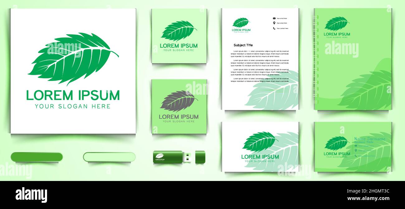 Mint leaf logo and business branding template Designs Inspiration ...
