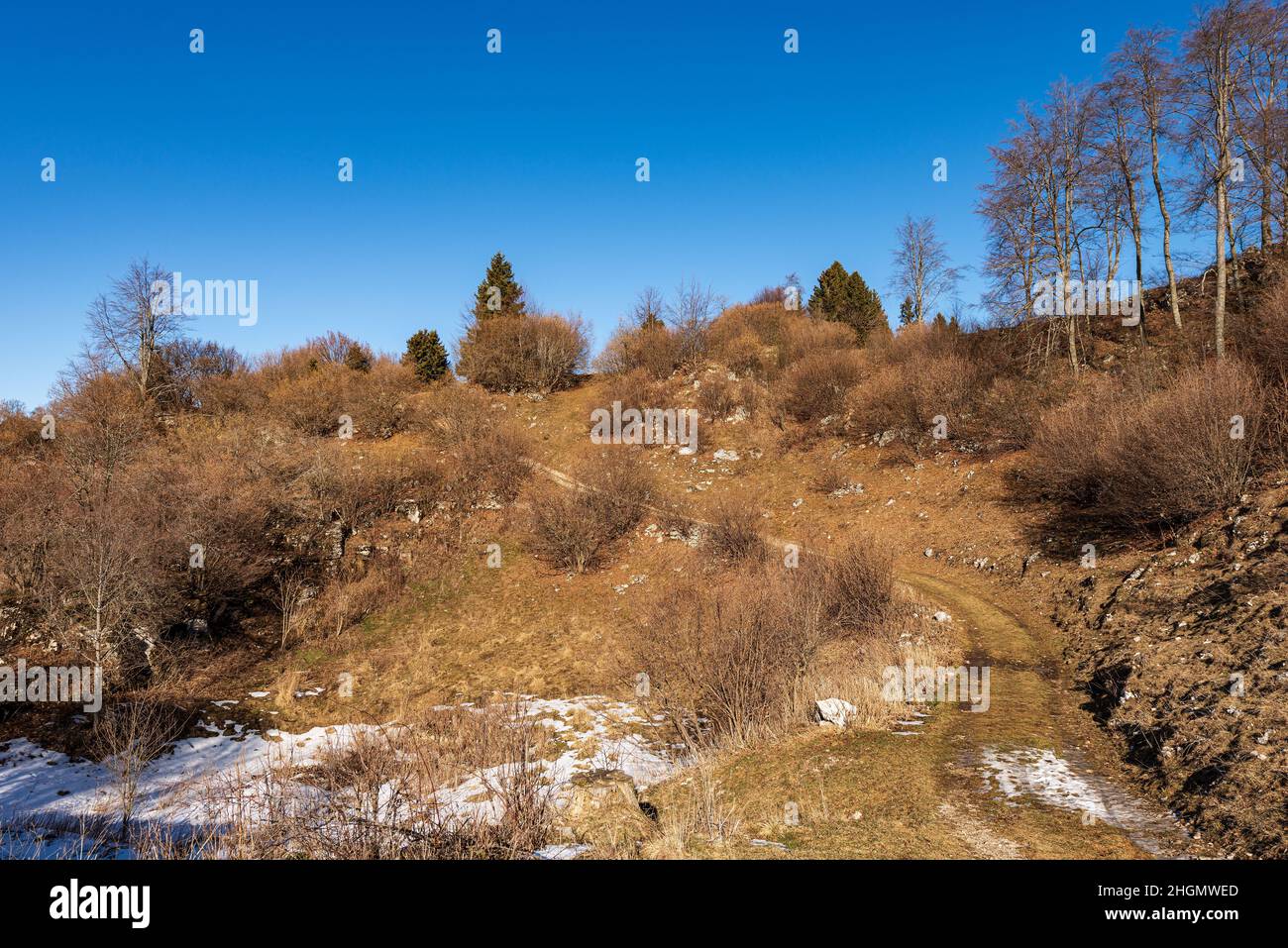 Trekking footpath on Lessinia High Plateau in winter with bare trees ...