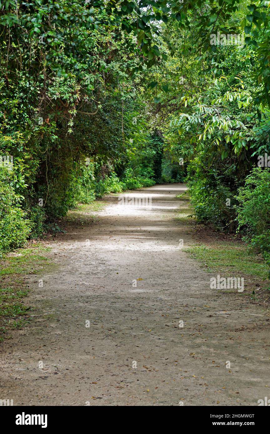 Woodland scenery hi-res stock photography and images - Alamy