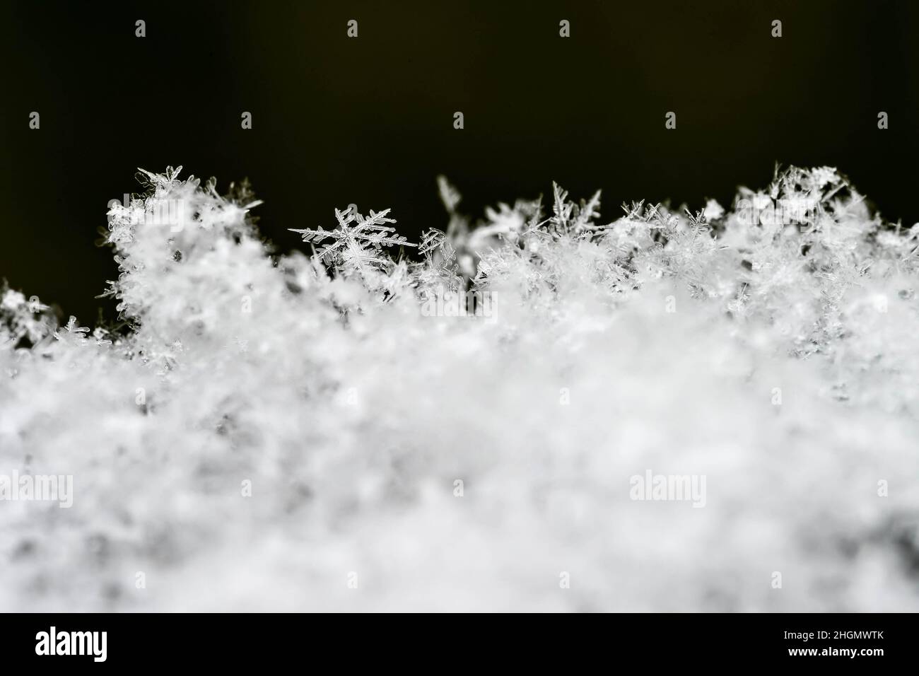 Real snowflake hi-res stock photography and images - Alamy