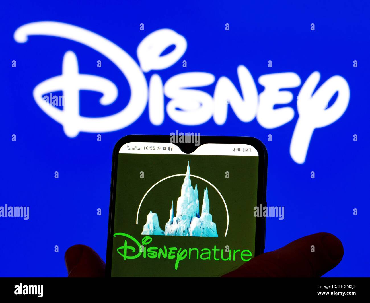 In this photo illustration, the Disneynature logo is seen displayed on ...