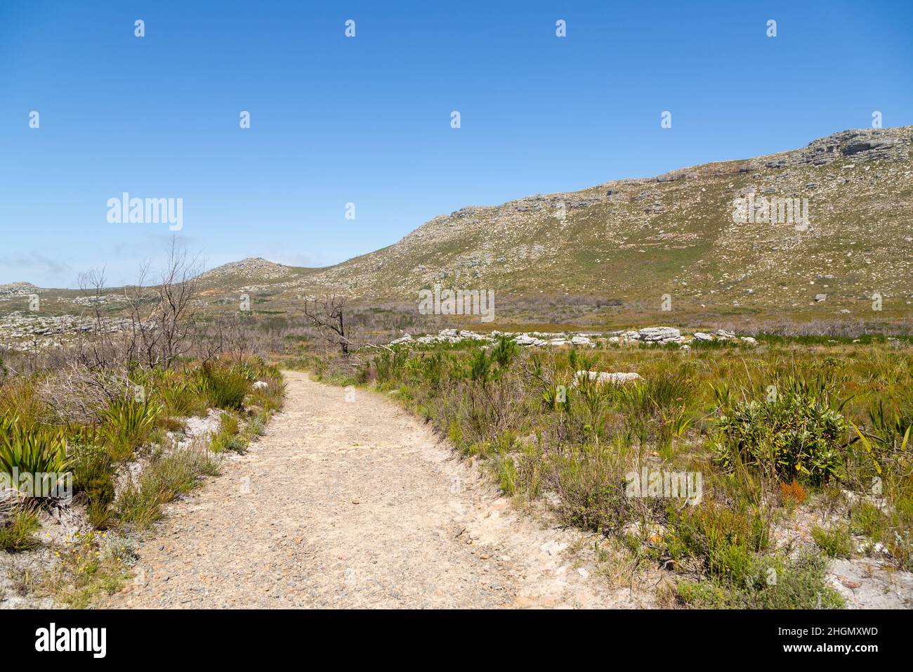 Hiking Trail in the Silvermine Nature Reserve south of Cape Town in the ...
