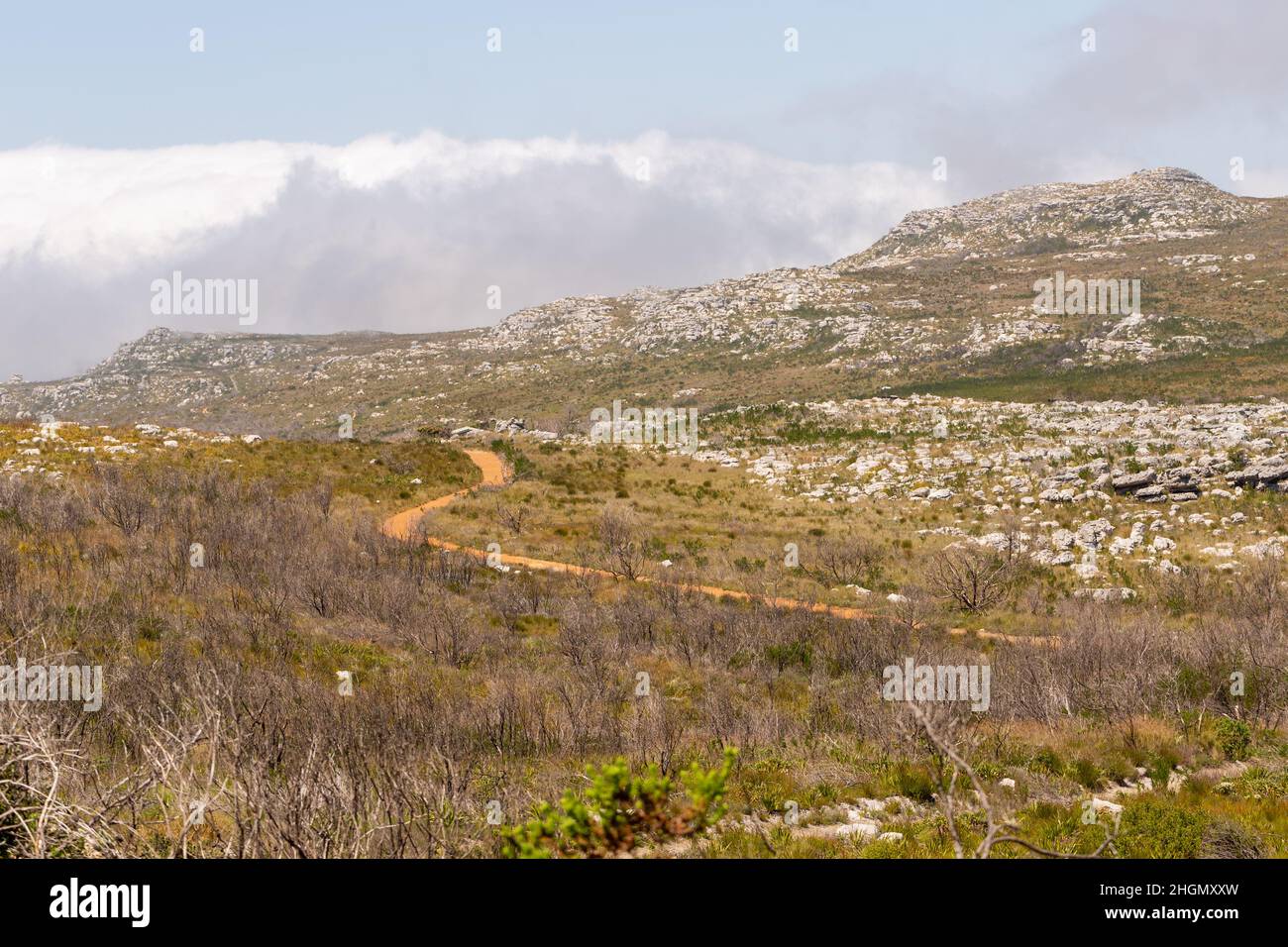 Fynbos Landscape in the Silvermine Nature Reserve Stock Photo - Alamy
