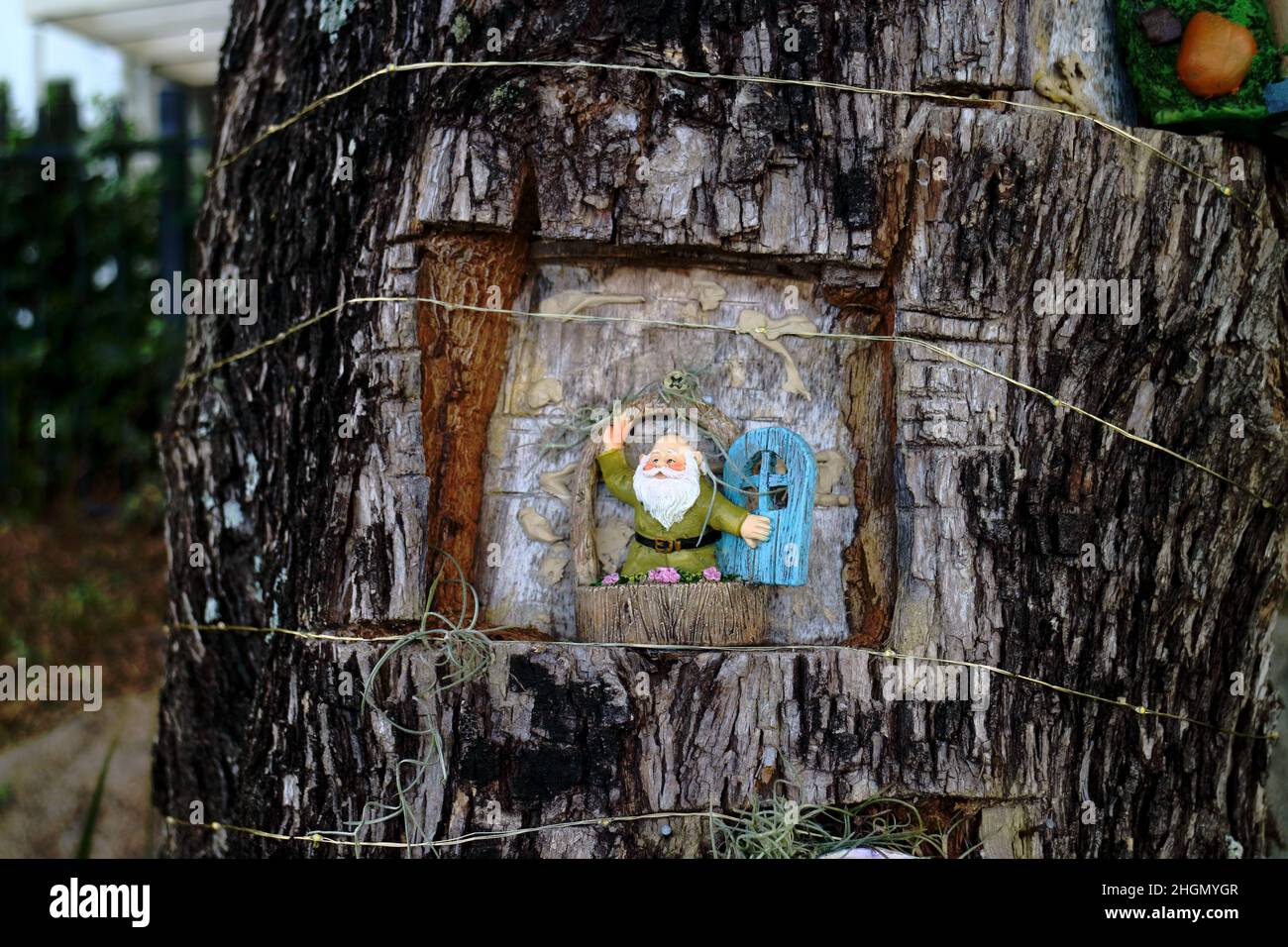 Miniature dwarf figurine in a tree trunk Stock Photo - Alamy