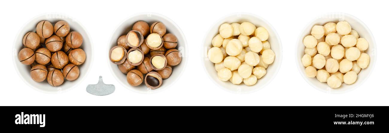 Macadamia nuts, in white bowls. Dried fruits with sawn nutshells ...