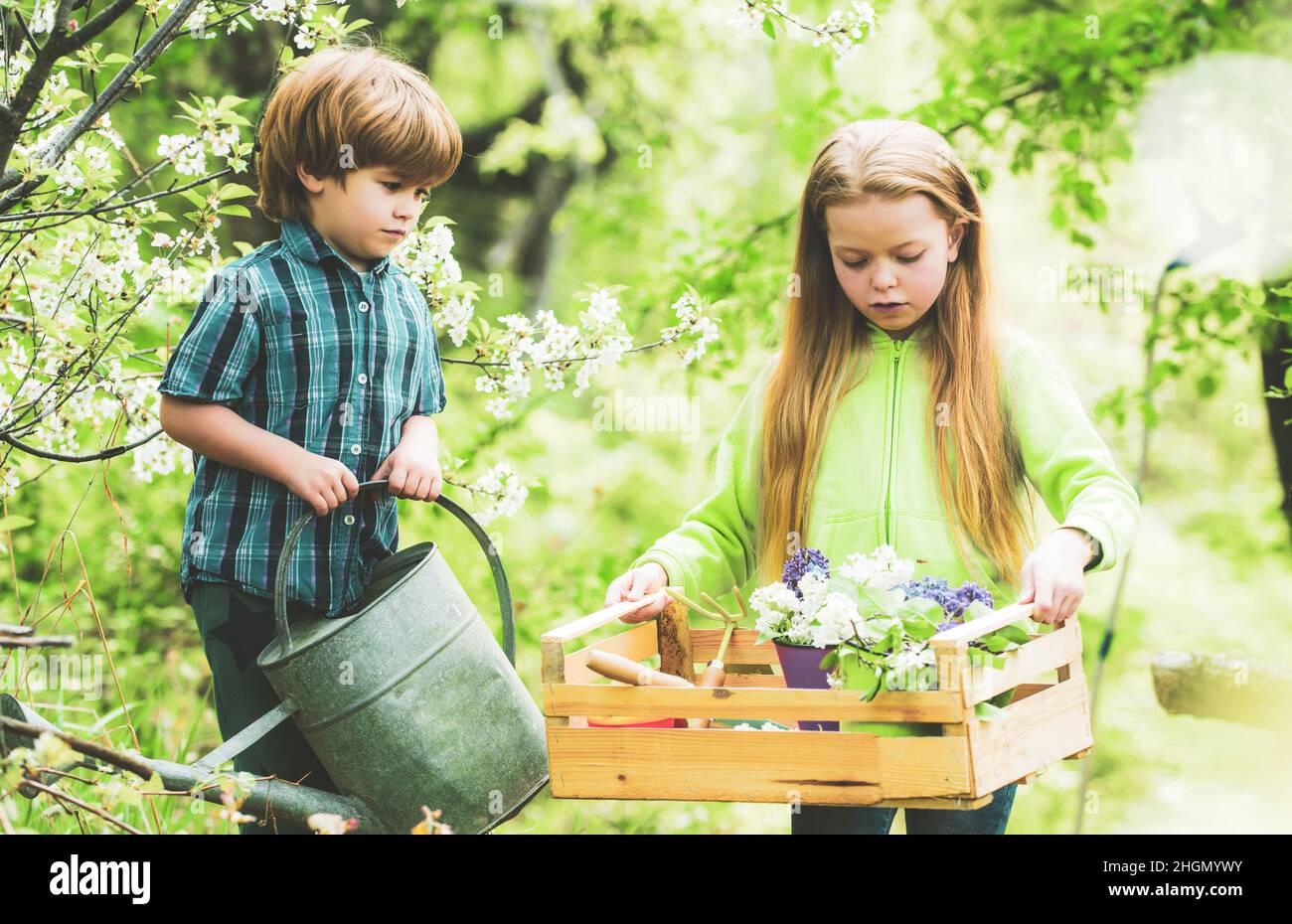 Child and vegetables on the farm. daughter and son working in the farm ...