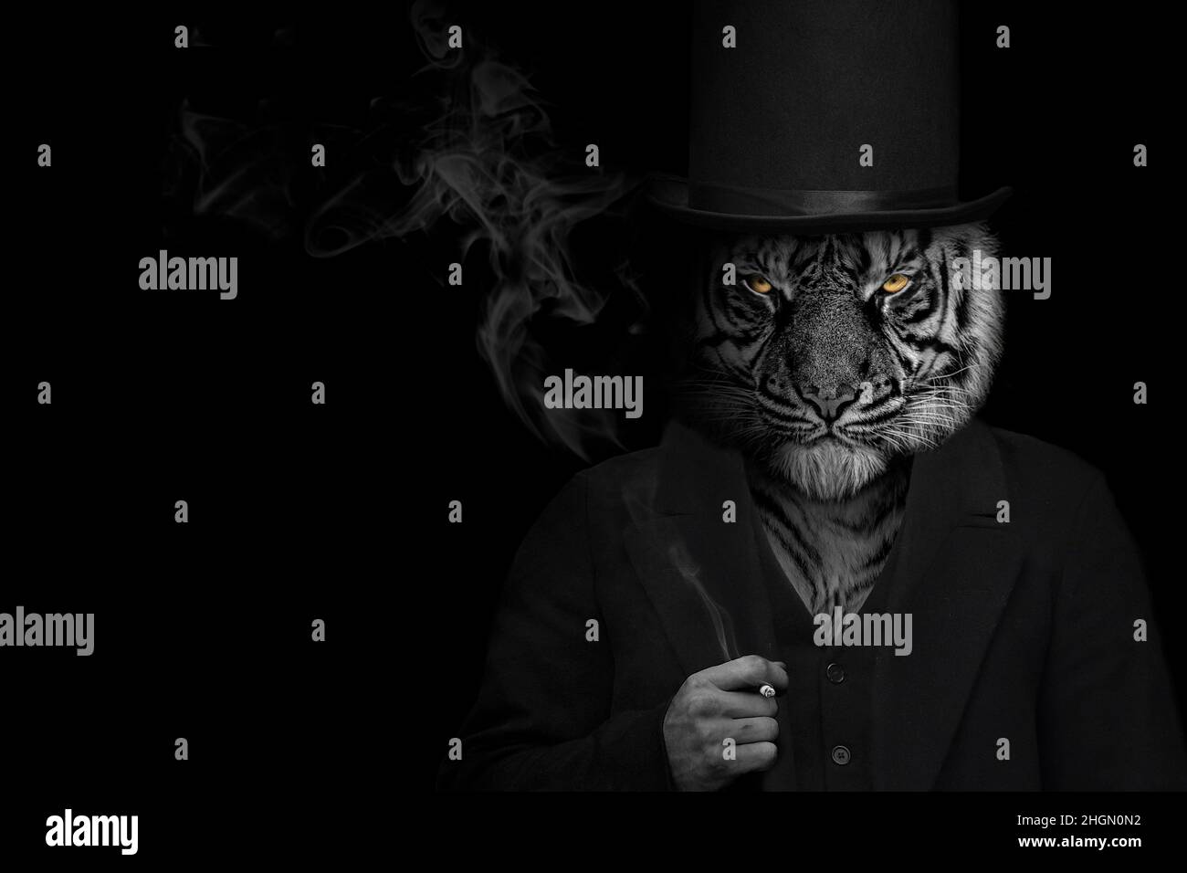 Man in the form of a Tiger mammal , The Tiger person , animal face ...