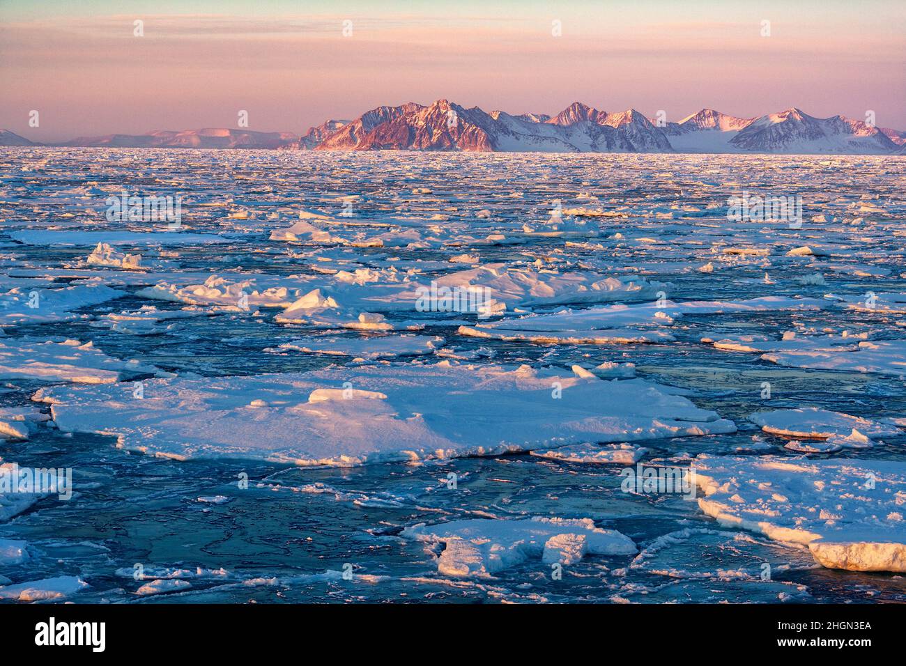 Dawn sunlight on the sea ice in the North Atlantic Ocean off the ...