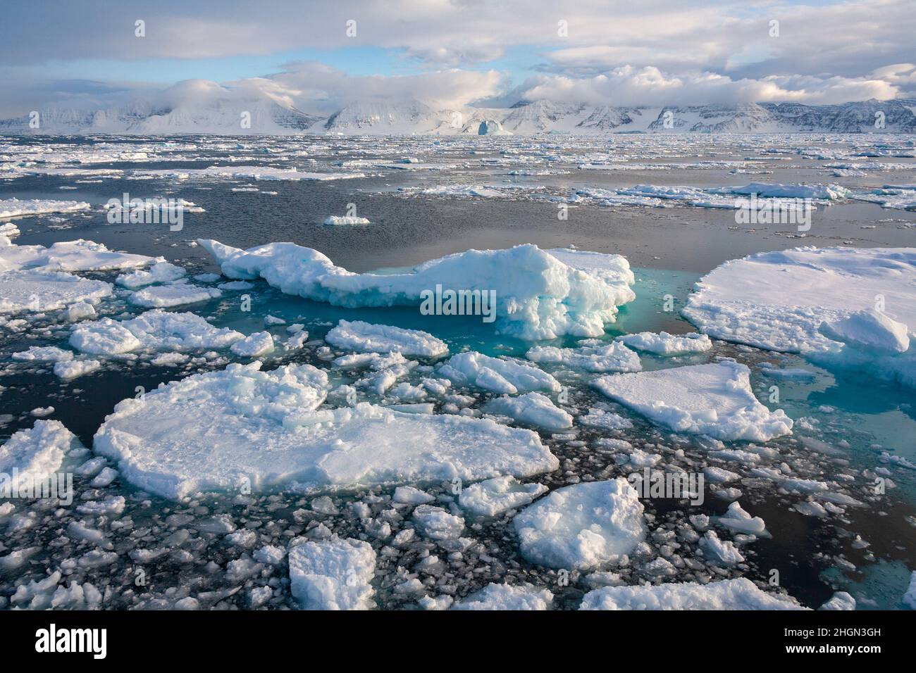 Sea ice in the North Atlantic Ocean off the northeast coast of ...