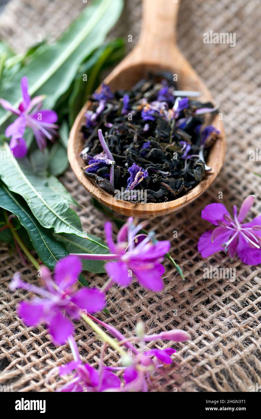 Fireweed leaf hi-res stock photography and images - Alamy