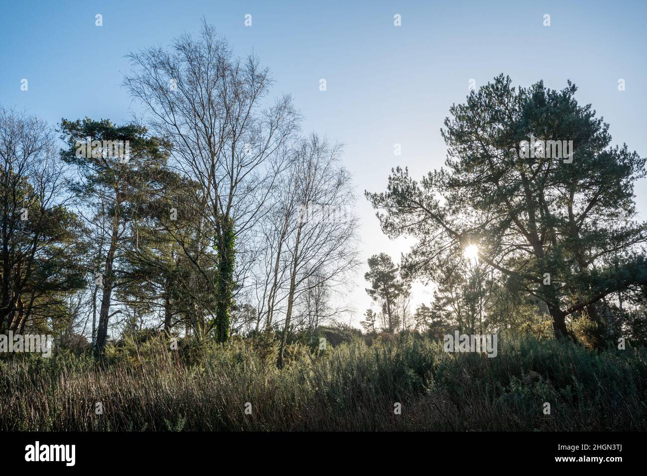 Nature conservation review site grade i hi-res stock photography and ...