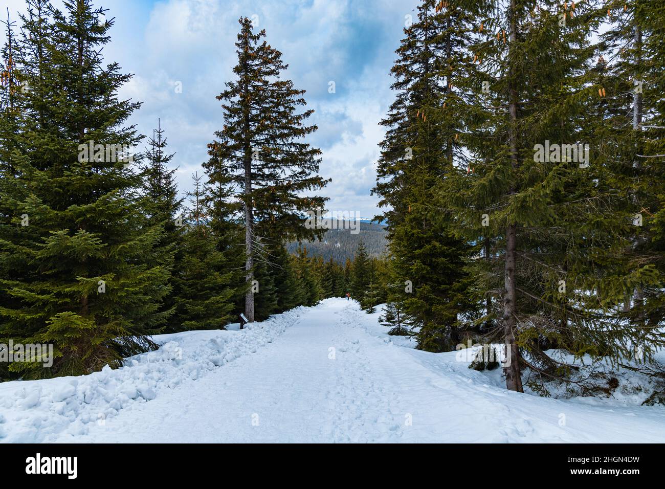 Long walk for slope of the mountain hi-res stock photography and images ...