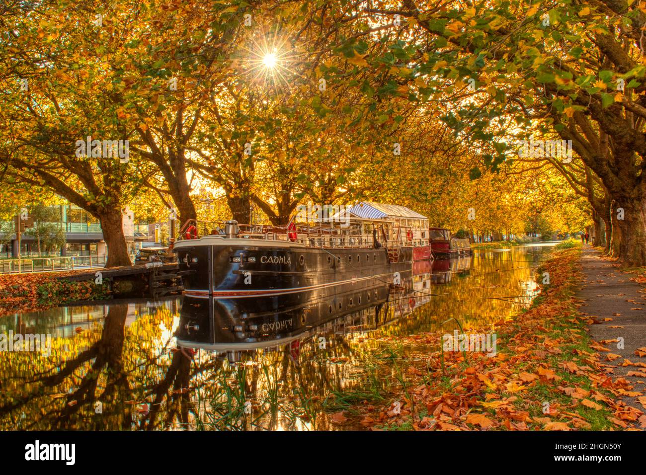 Grand Canal looking spectacular with the autumn colours on a fine ...