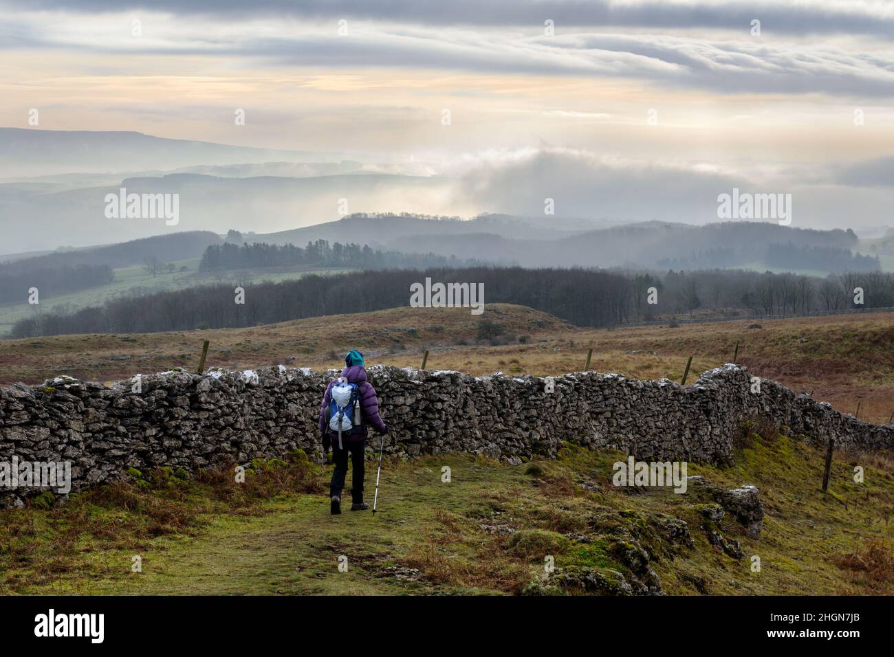 A walker on Hutton Roof crags near Burton -in-Kendal with a temperature ...