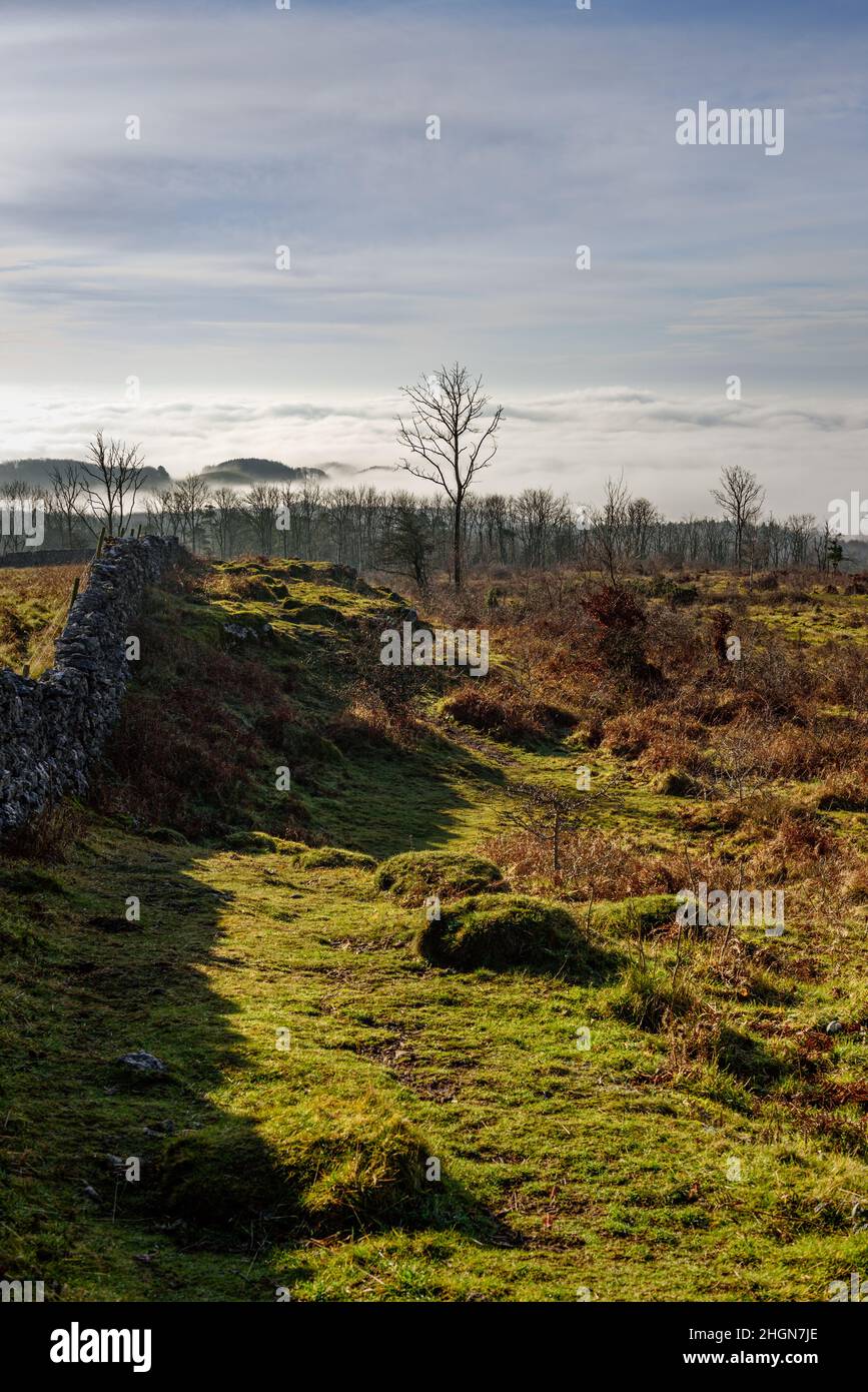 Footpath to Hutton Roof Crags with a Temperature Inversion one the Lune ...