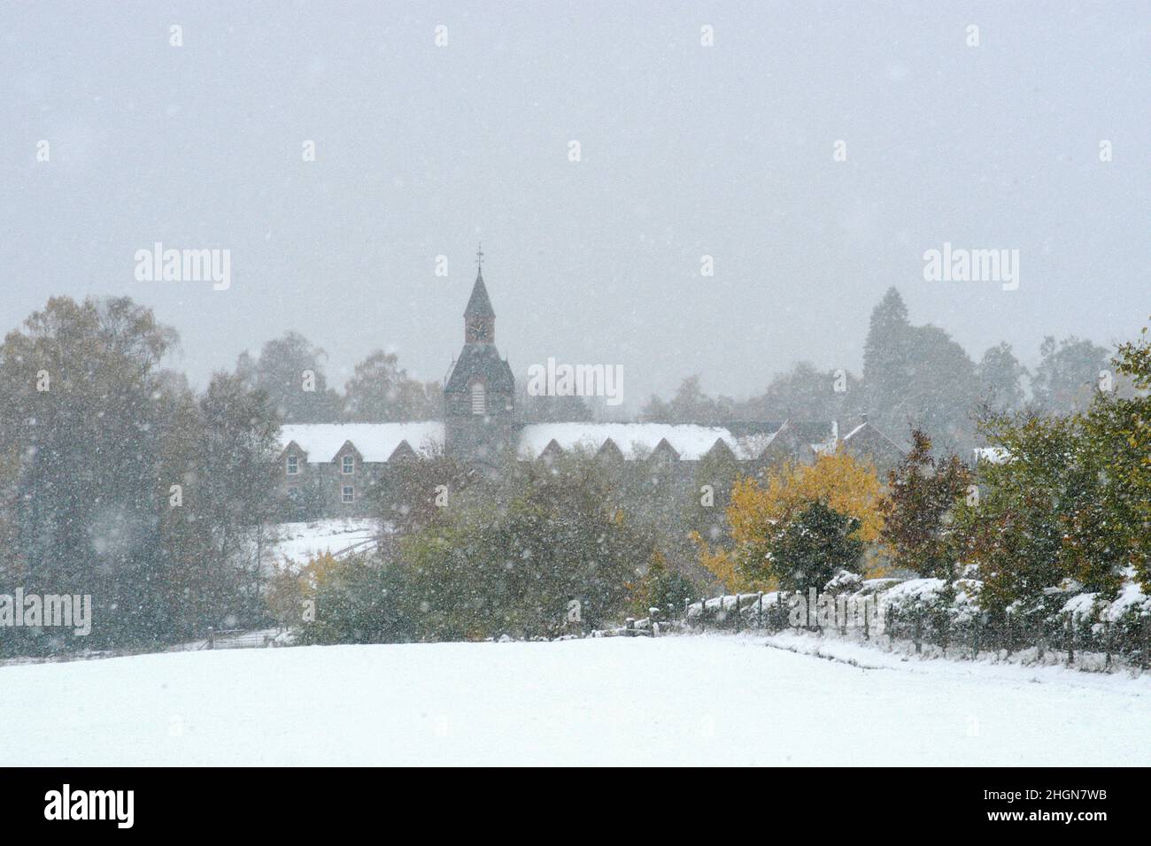 Guisachan hi-res stock photography and images - Alamy