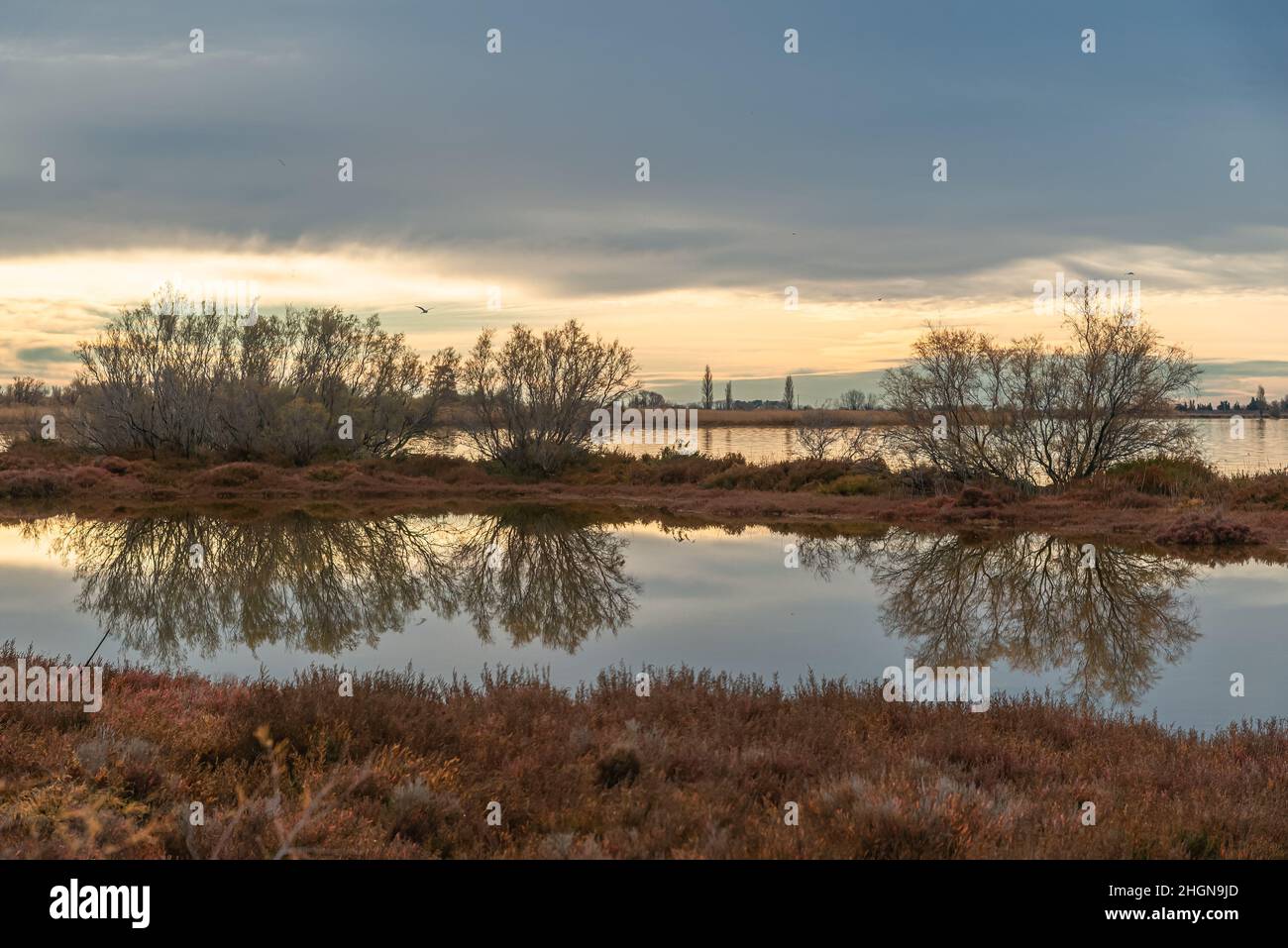 Breathtaking winter landscape in the Badlands of Camargue France Stock ...