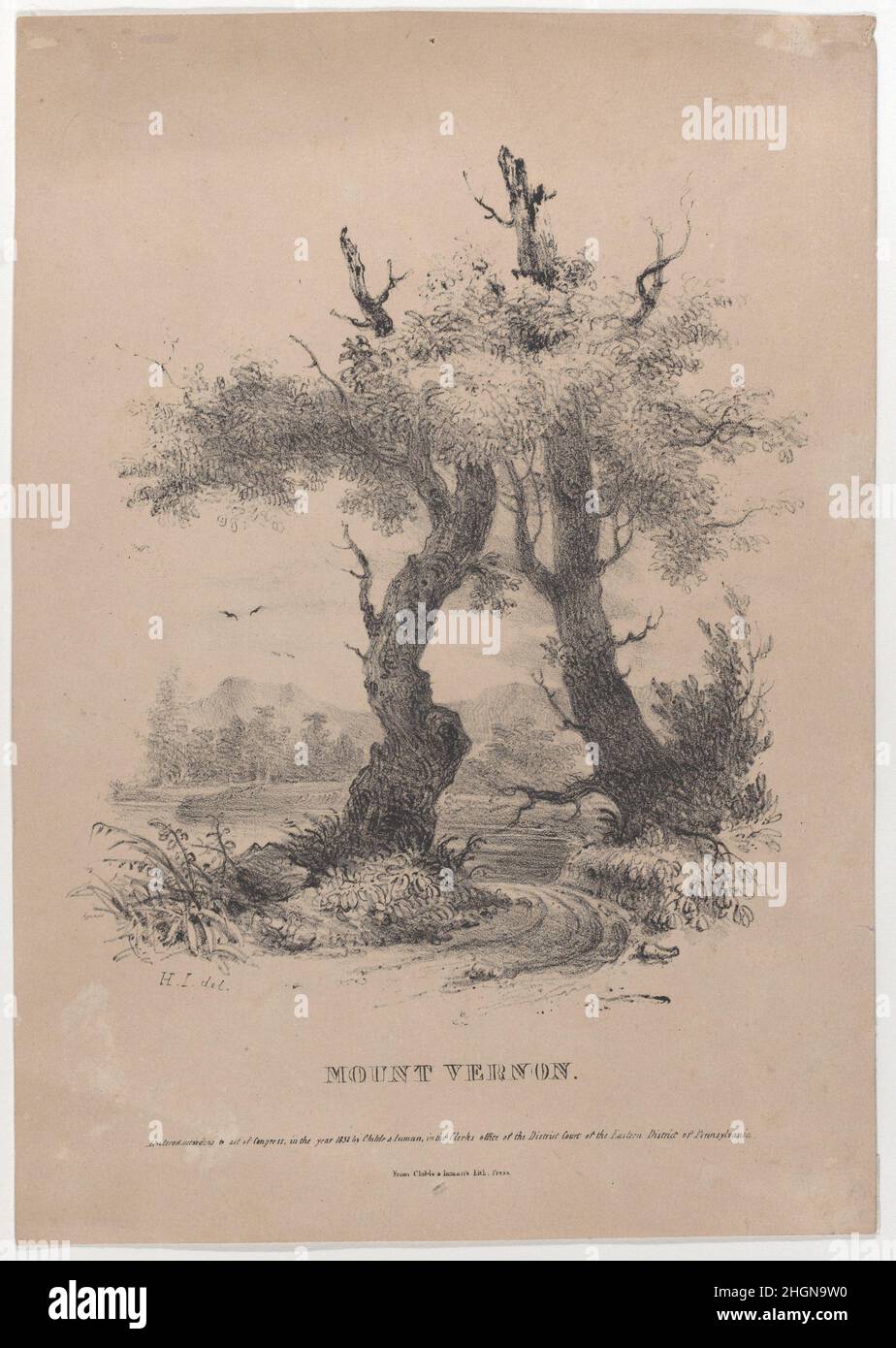 Mount Vernon with hidden silhouette of George Washington 1832 Henry ...