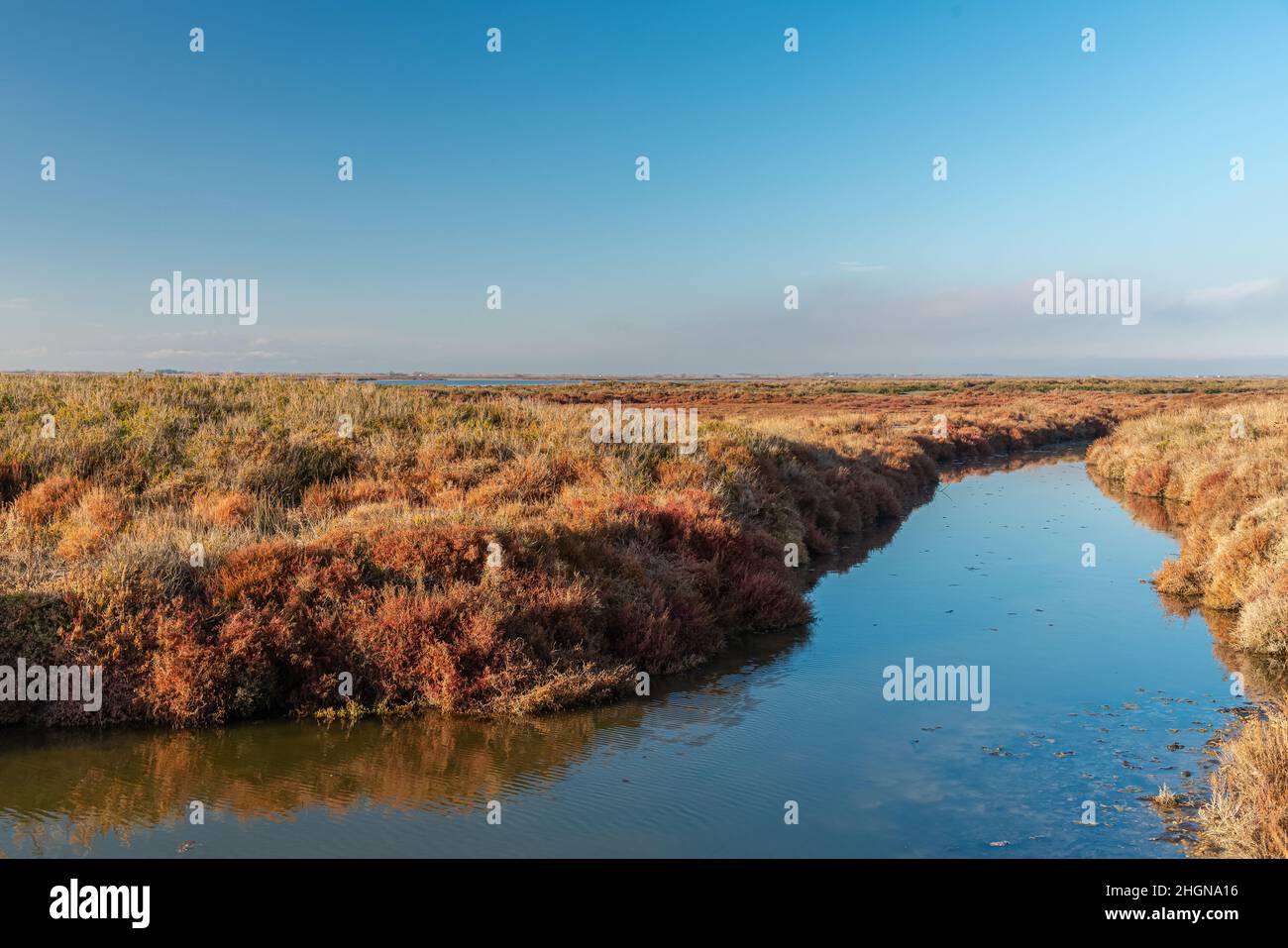 Breathtaking winter landscape in the Badlands of Camargue France Stock ...