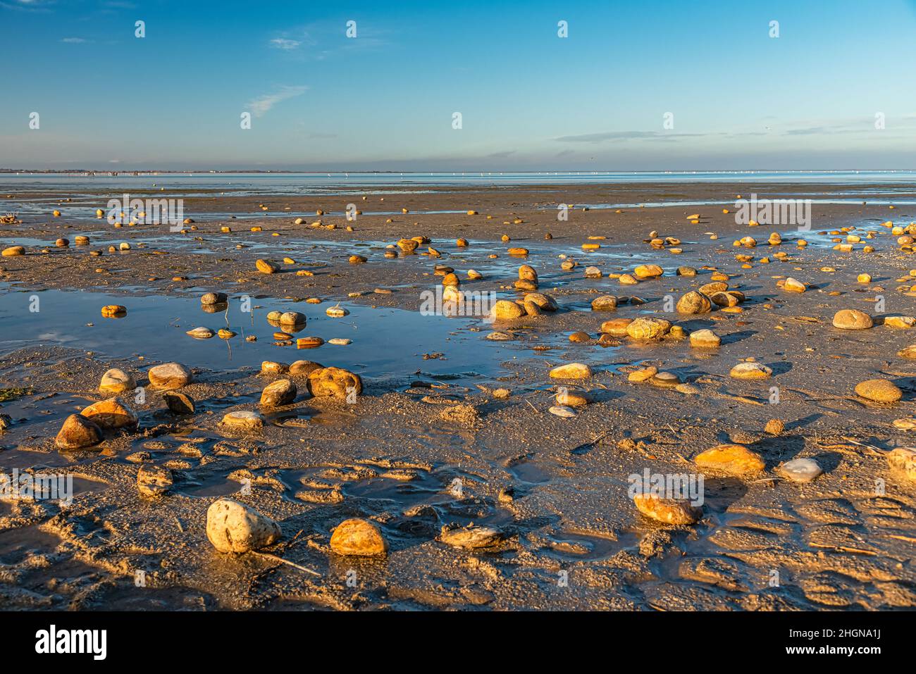 Breathtaking winter landscape in the Badlands of Camargue France Stock ...