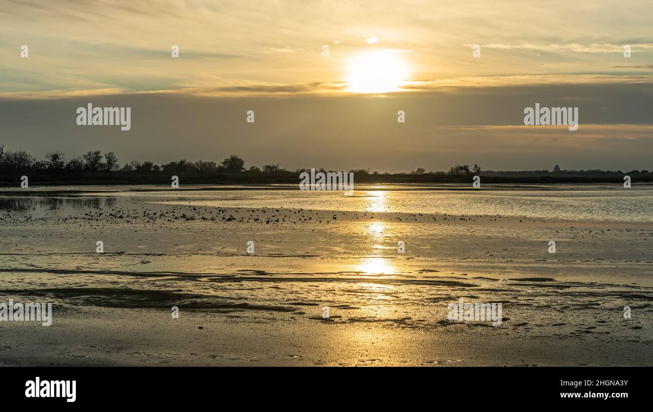 Breathtaking winter landscape in the Badlands of Camargue France Stock ...