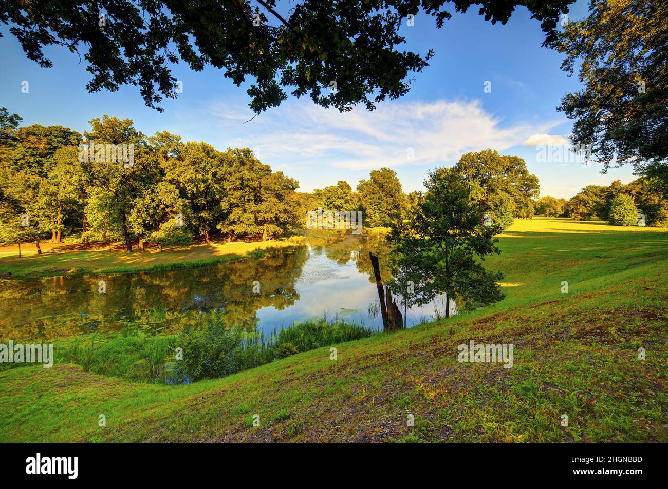 Bad Muskau - Muskau Park, lake, pond, fields, and trees Stock Photo - Alamy