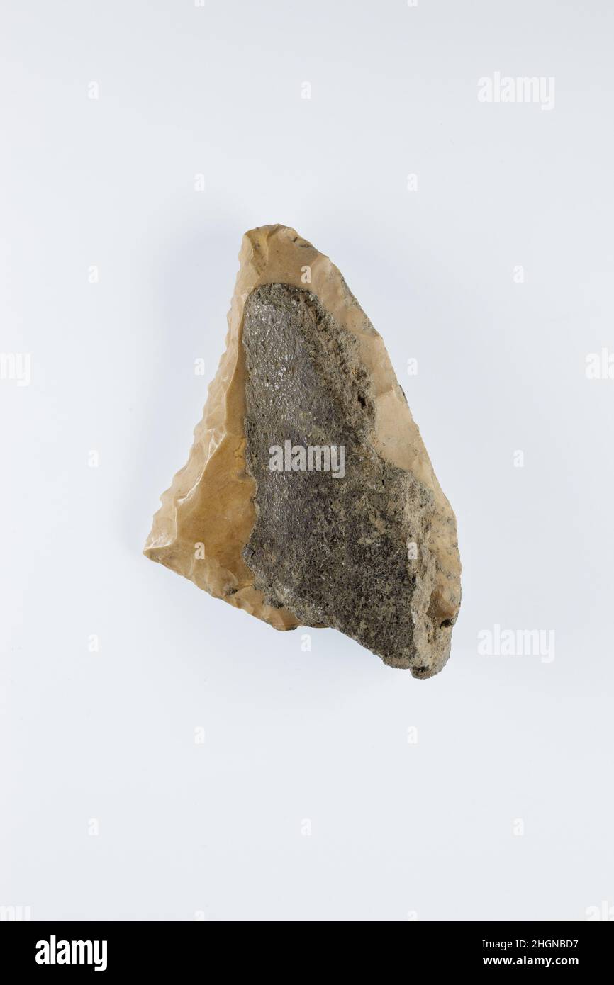 Sickle Insert ca. 1184–664 B.C. Probably New Kingdom, Ramesside–Third ...