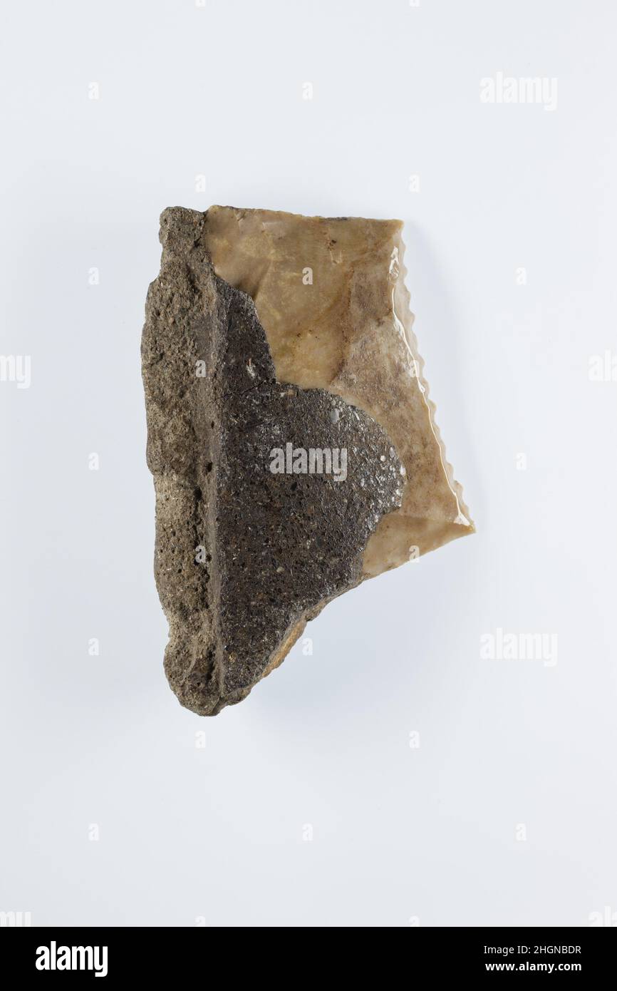 Sickle Insert ca. 1186–1070 B.C. New Kingdom, Ramesside This small ...