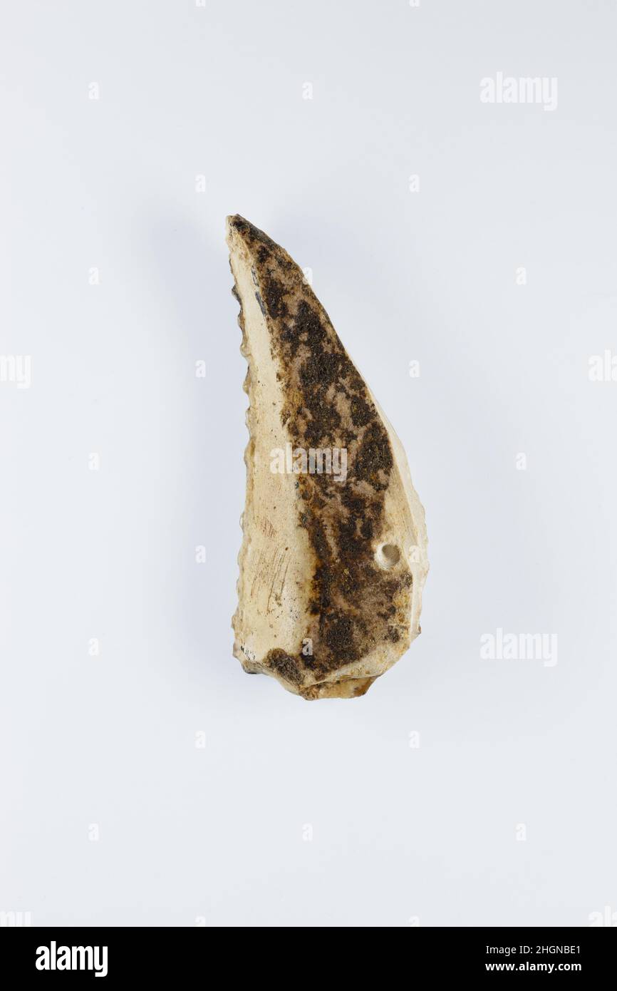Sickle Insert ca. 1186–1070 B.C. New Kingdom, Ramesside This small ...