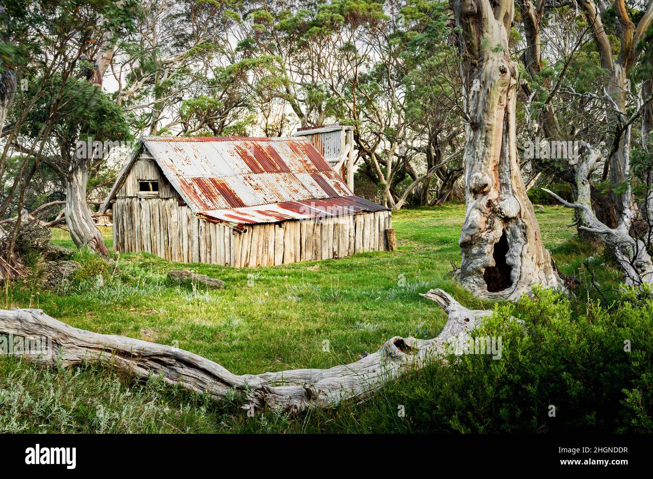 Famous Wallaces Hut in Alpine National Park Stock Photo - Alamy