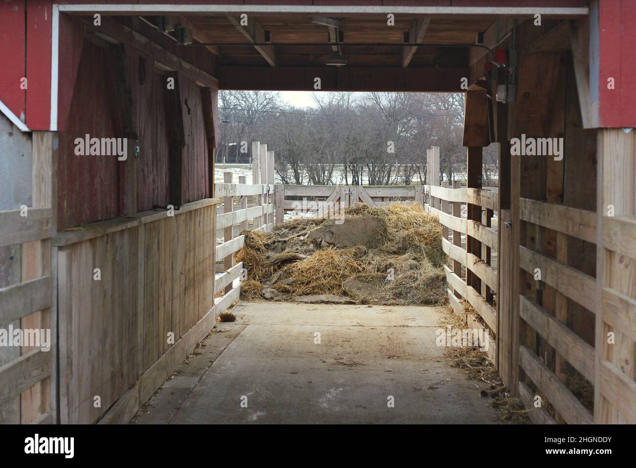 Animal stables in the barn down on the farm Stock Photo - Alamy