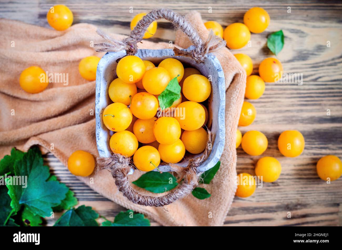 Juicy ripening cherry plum hi-res stock photography and images - Alamy