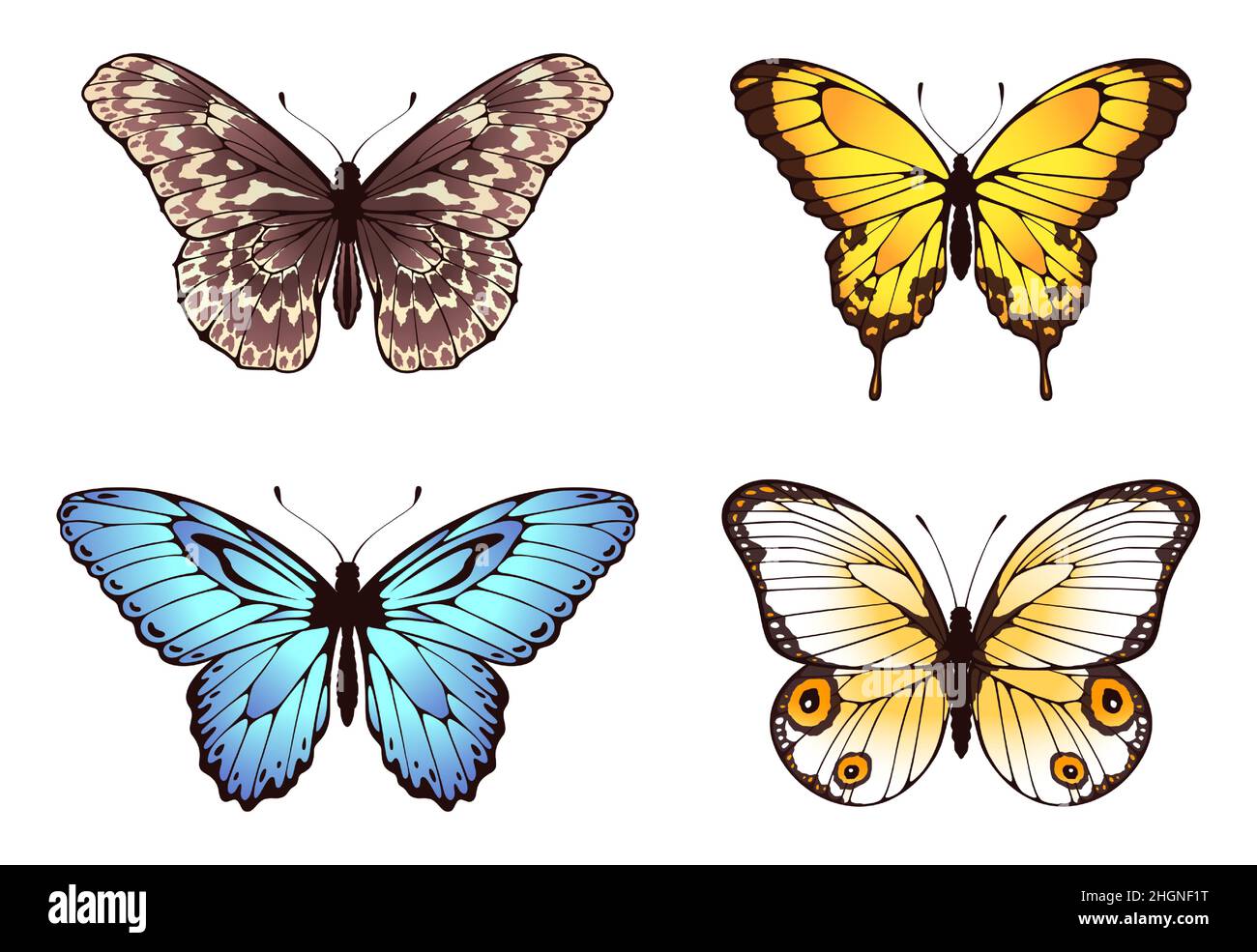 Butterflies flying with colored pattern on wings. Vector insect animal ...