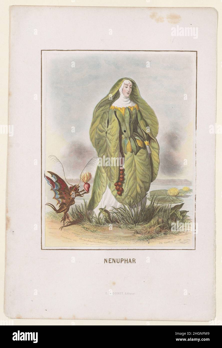 Nenuphar, from Les Fleurs Animées 1847 J. J. Grandville French ...