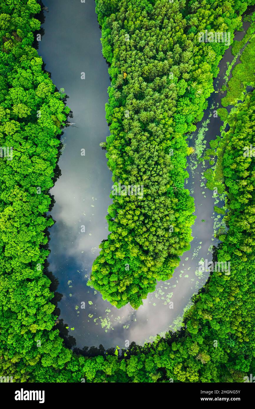 Flying above river and green algae in summer. Aerial view of wildlife ...