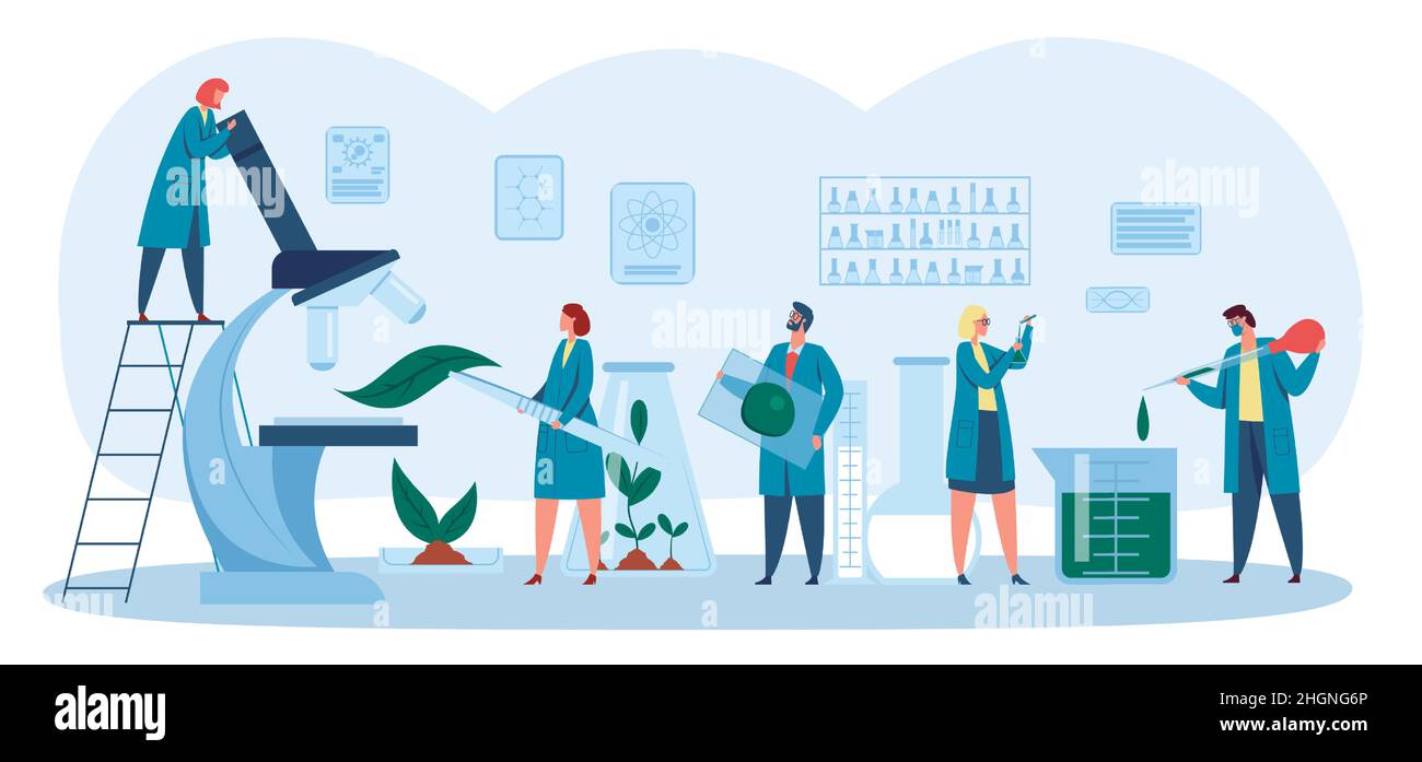 Biologists examining and research plant in laboratory. Vector science ...