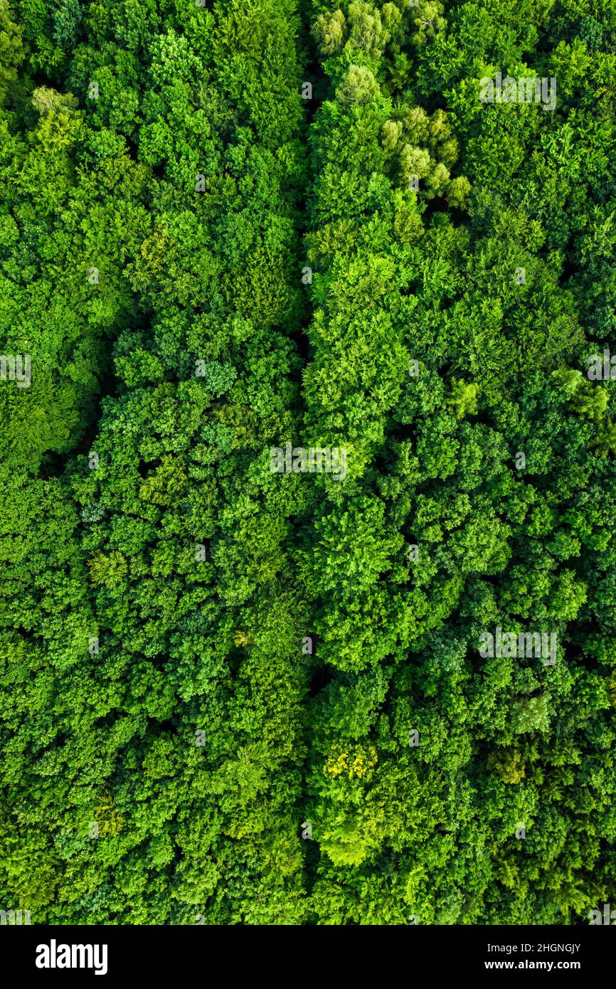 Plant naure hi-res stock photography and images - Alamy