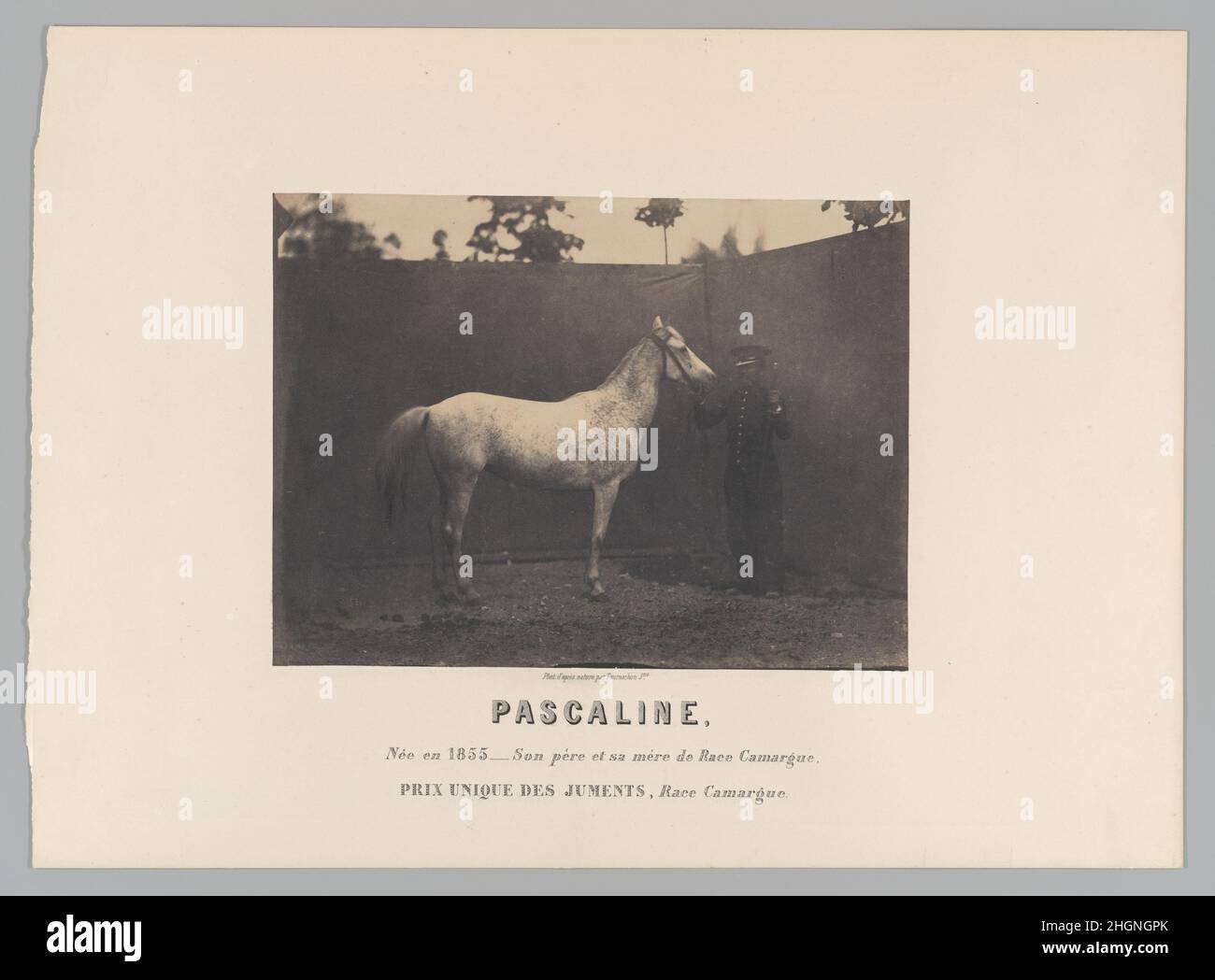 Pascaline hi-res stock photography and images - Alamy