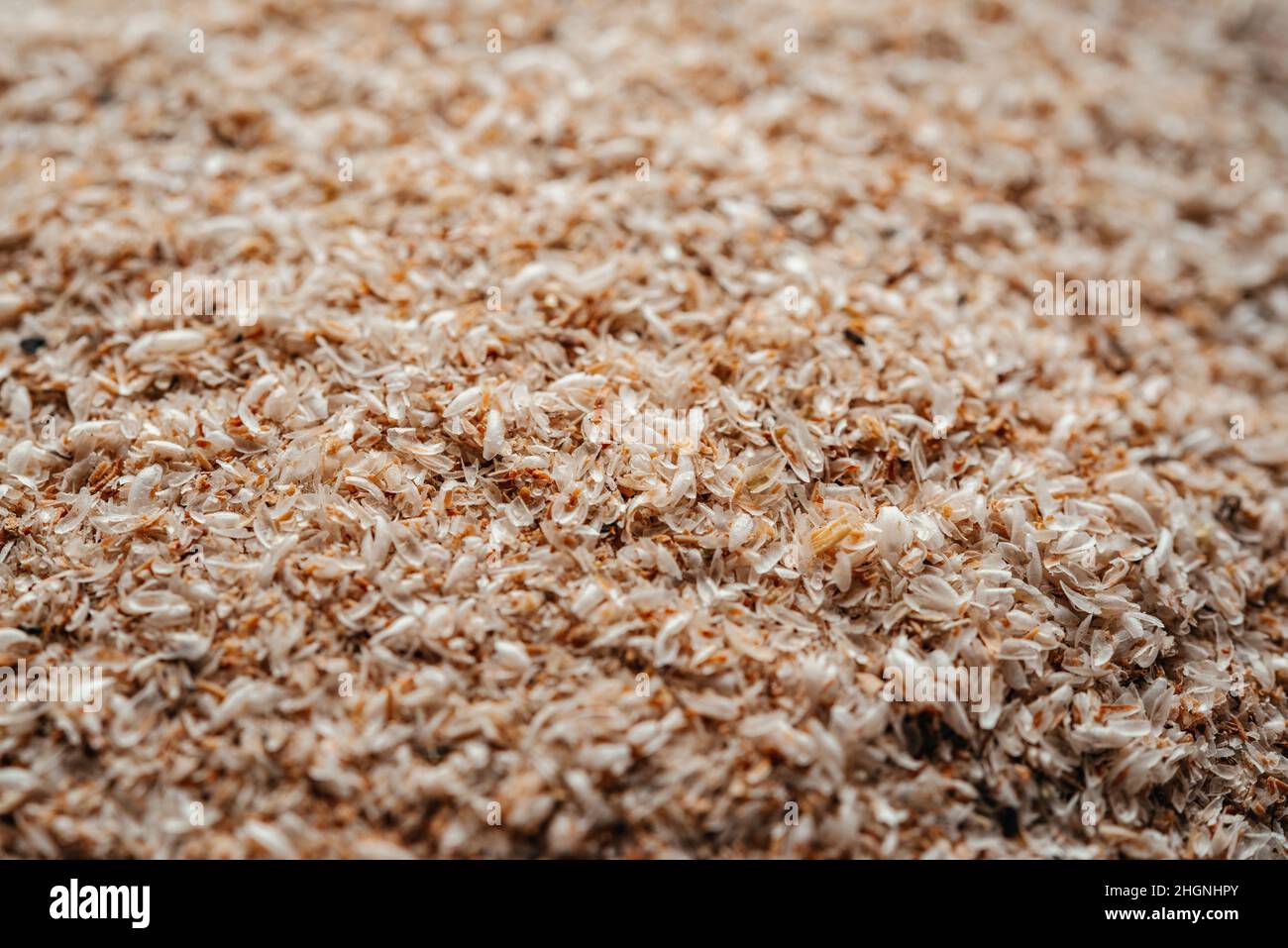 Psyllium husk dietary fiber supplement close-up Stock Photo - Alamy