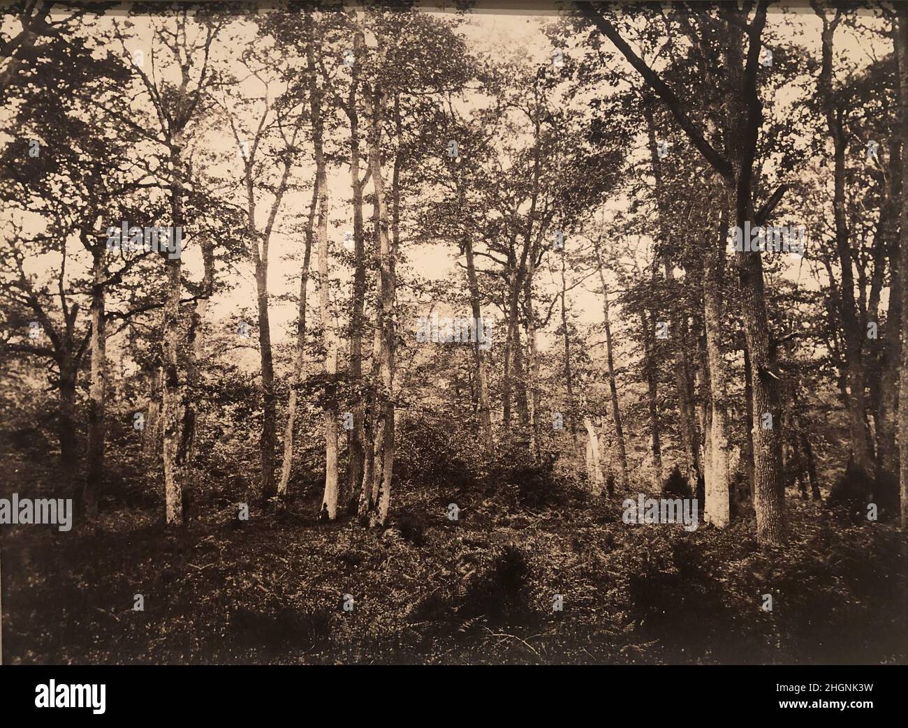 Artistic milieu hi-res stock photography and images - Alamy