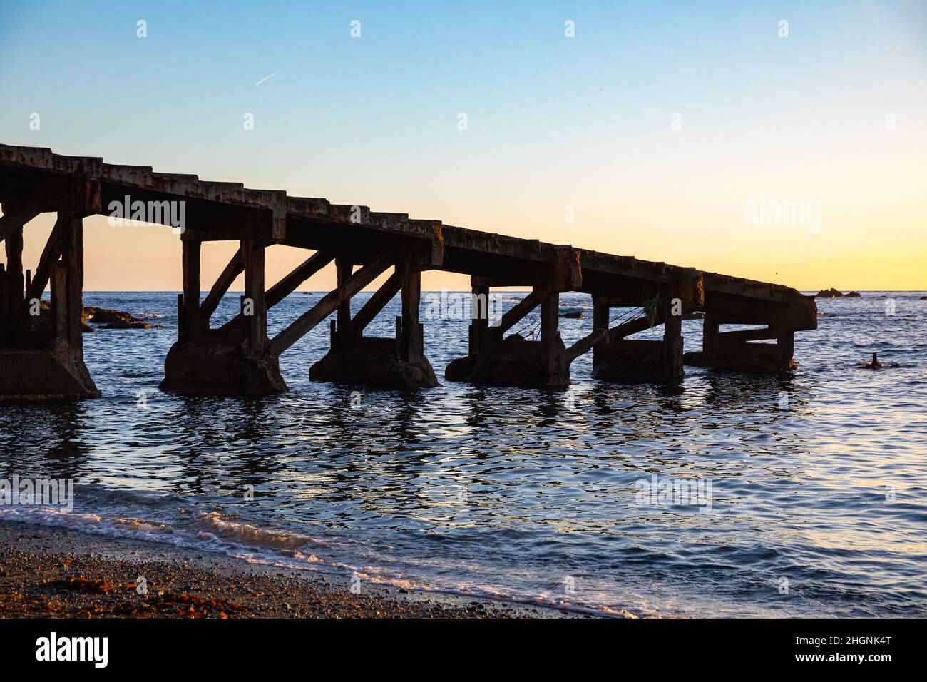 Lizard point birds hi-res stock photography and images - Alamy