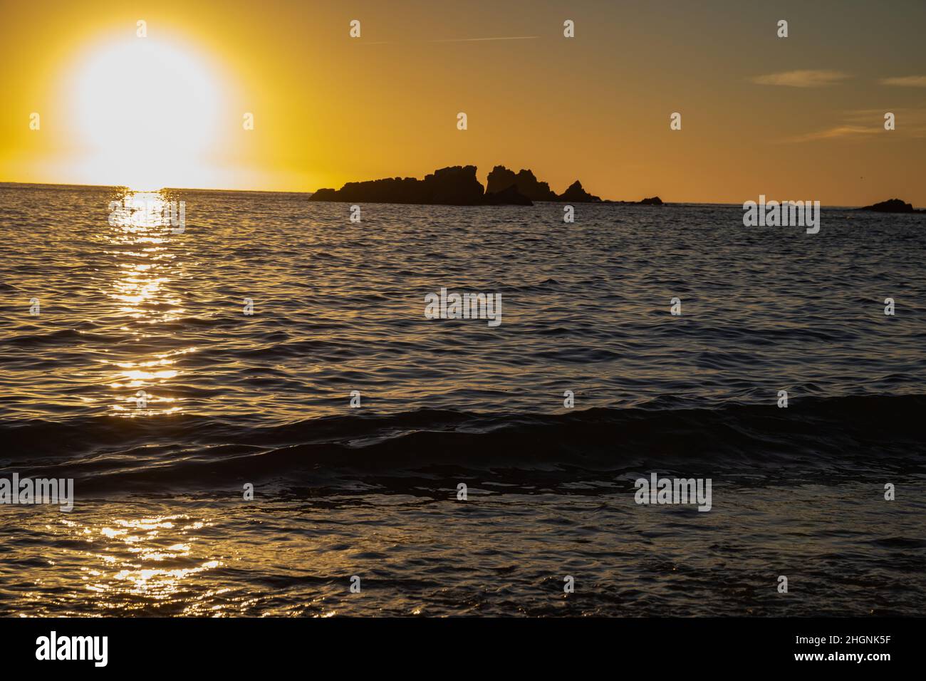 Lizard point birds hi-res stock photography and images - Alamy
