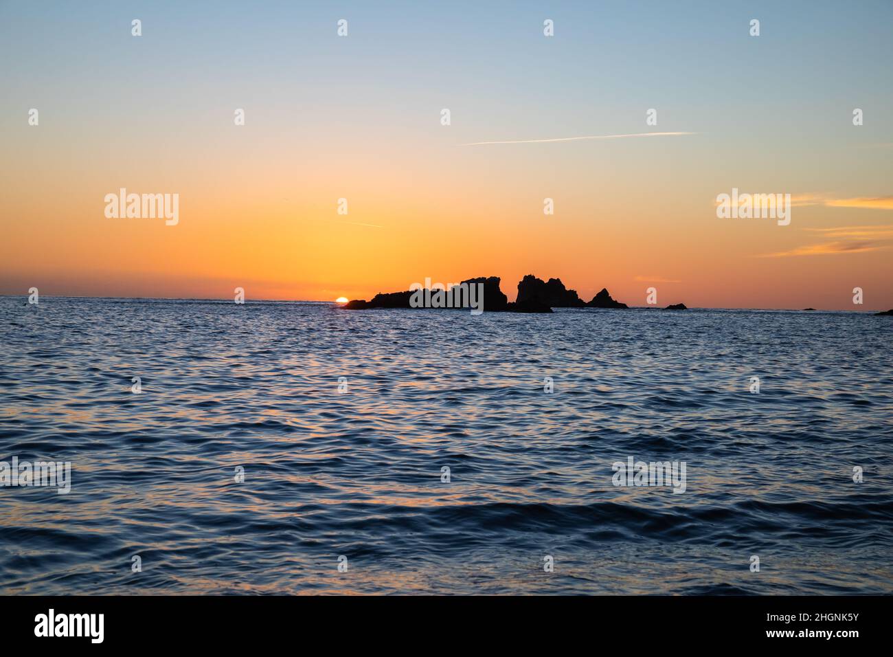 Lizard point birds hi-res stock photography and images - Alamy