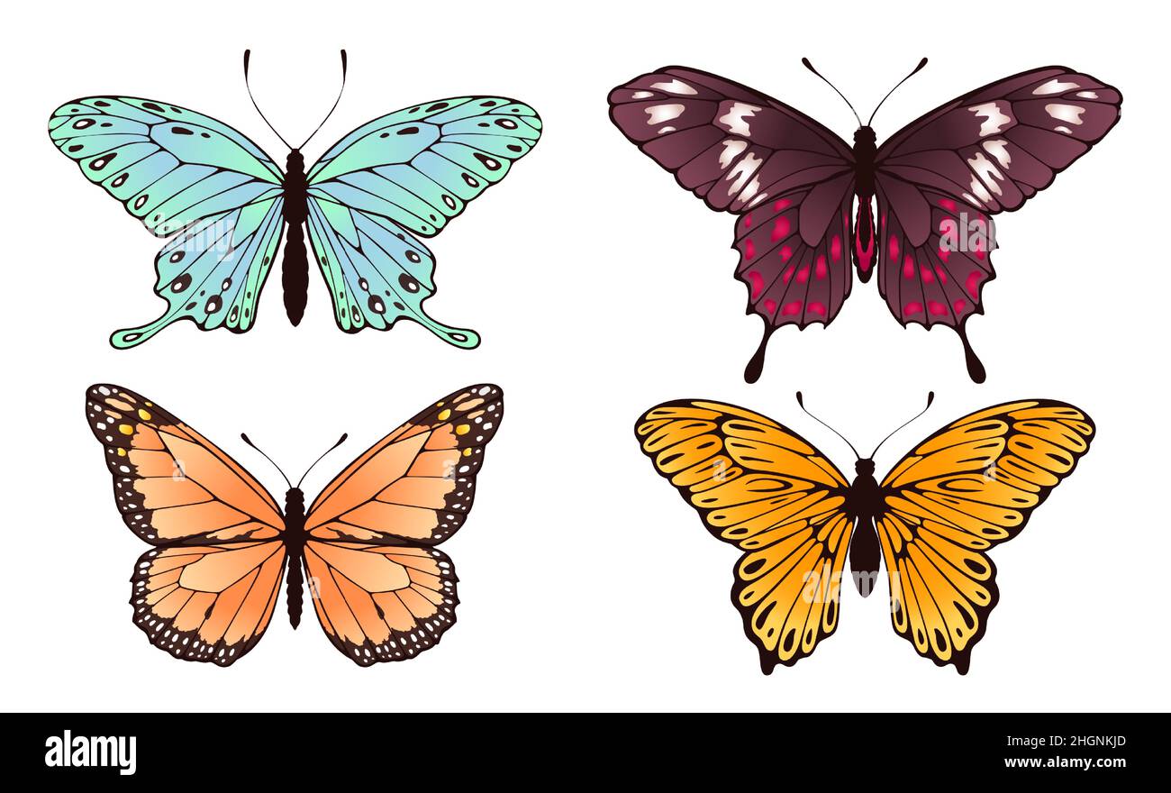 Various flying insects Cut Out Stock Images & Pictures - Alamy