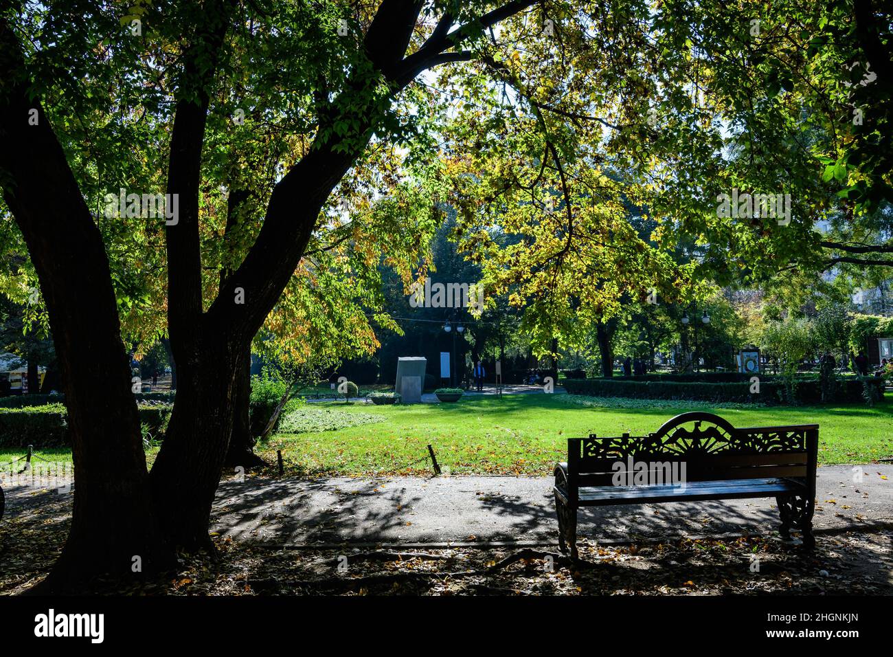 Landscape with grey alley with vivid green and yellow plants, green ...