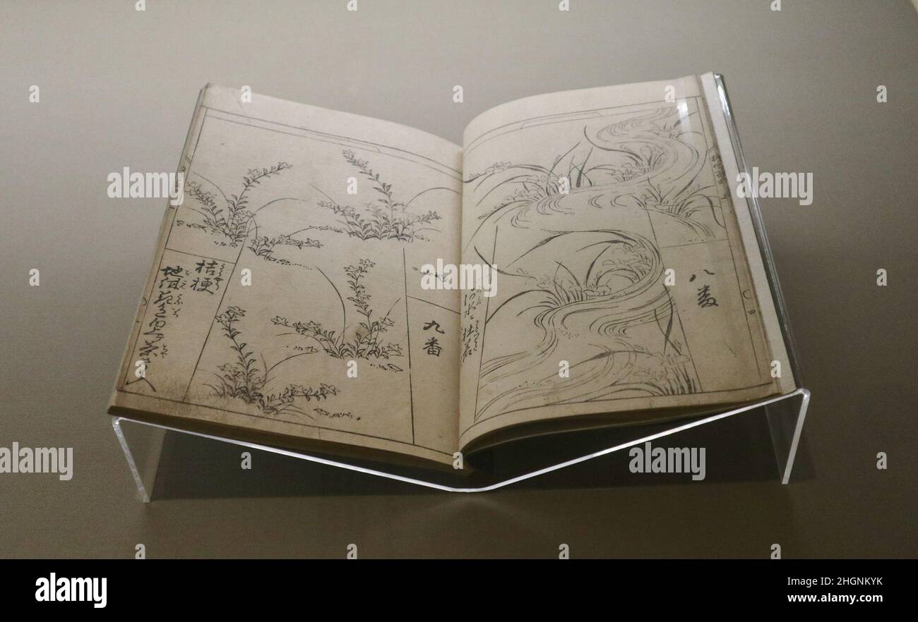 Kosode Patterns, Fuji of the Capital (Hiinagata Miyako no fuji) 1760 ...